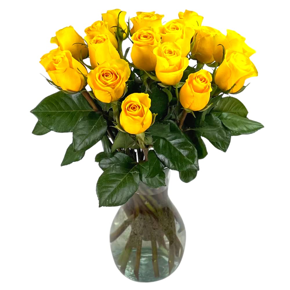 Fresh Flowers | Flowers for Delivery | Online Florist Arabella