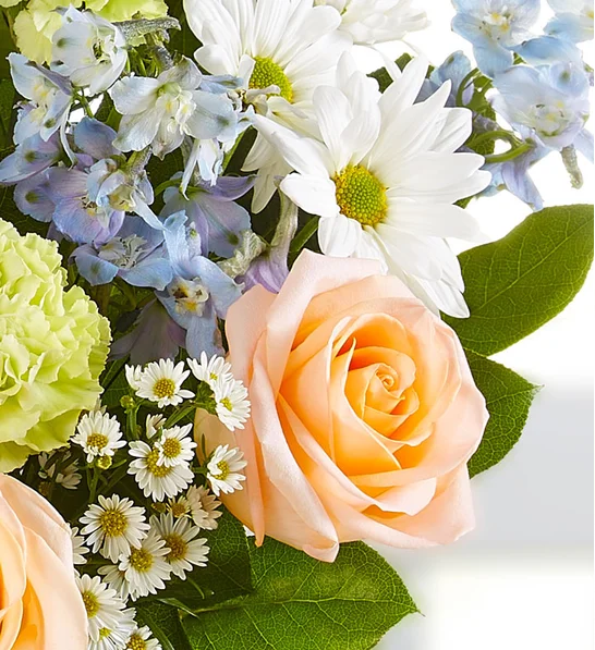 Fresh Flowers | Flowers for Delivery | Online Florist Allygifts