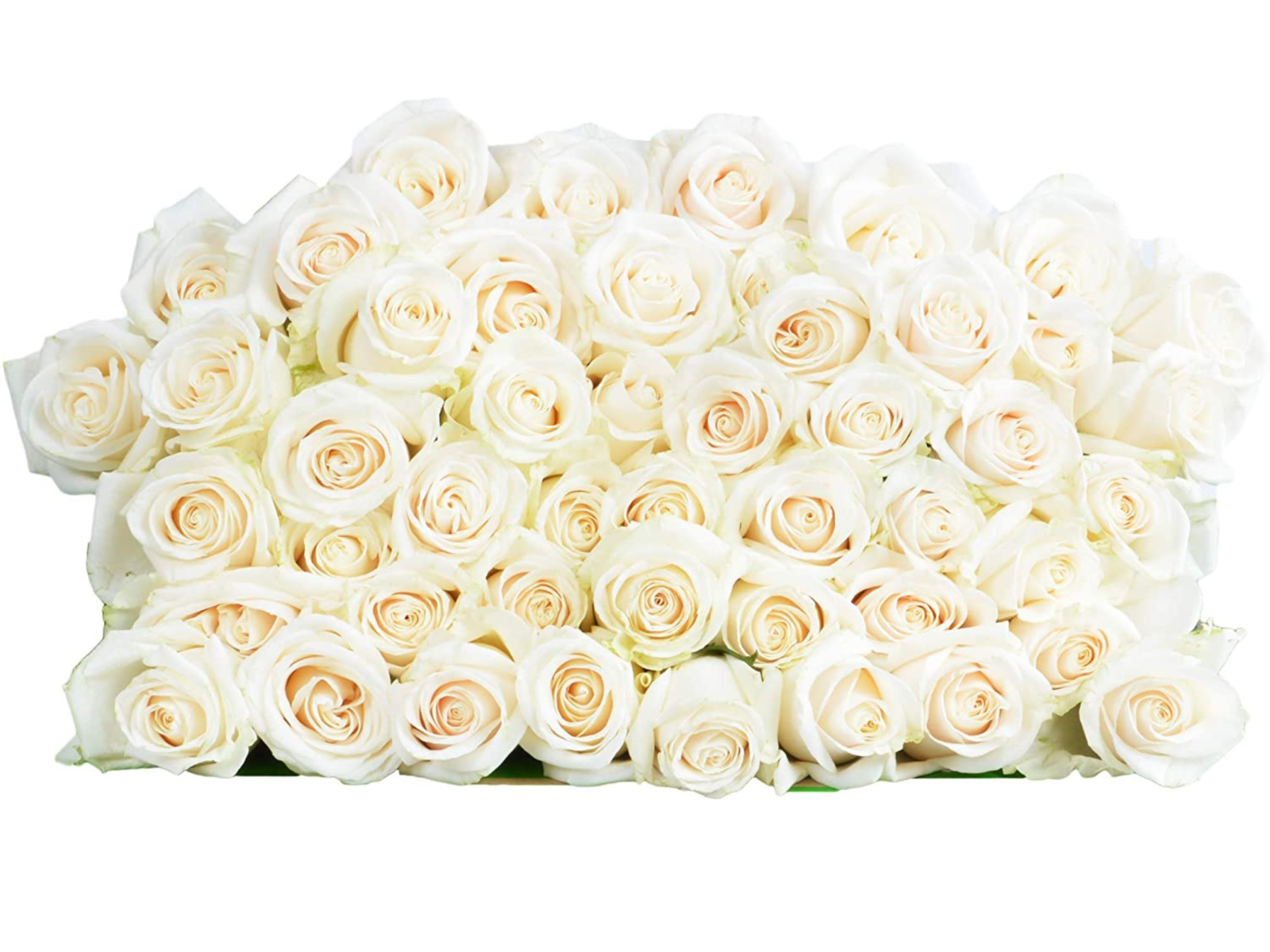 Fresh Flowers | Flowers for Delivery | Online Florist Arabella