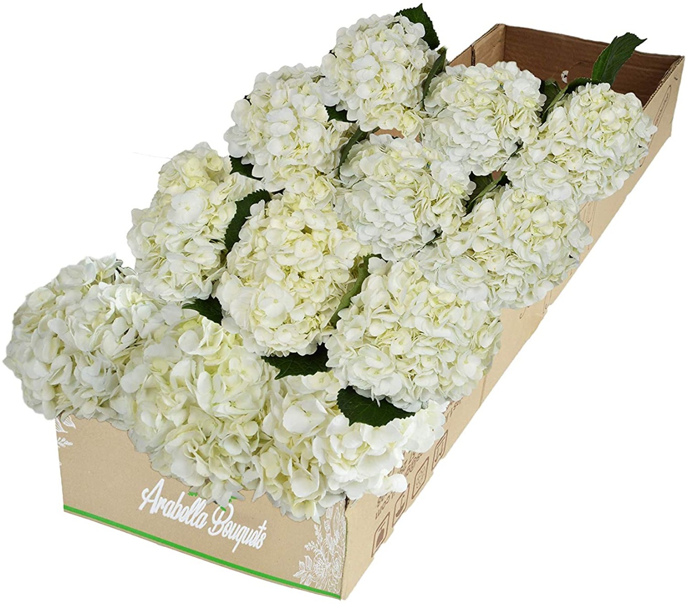 Fresh Flowers | Flowers for Delivery | Online Florist Arabella