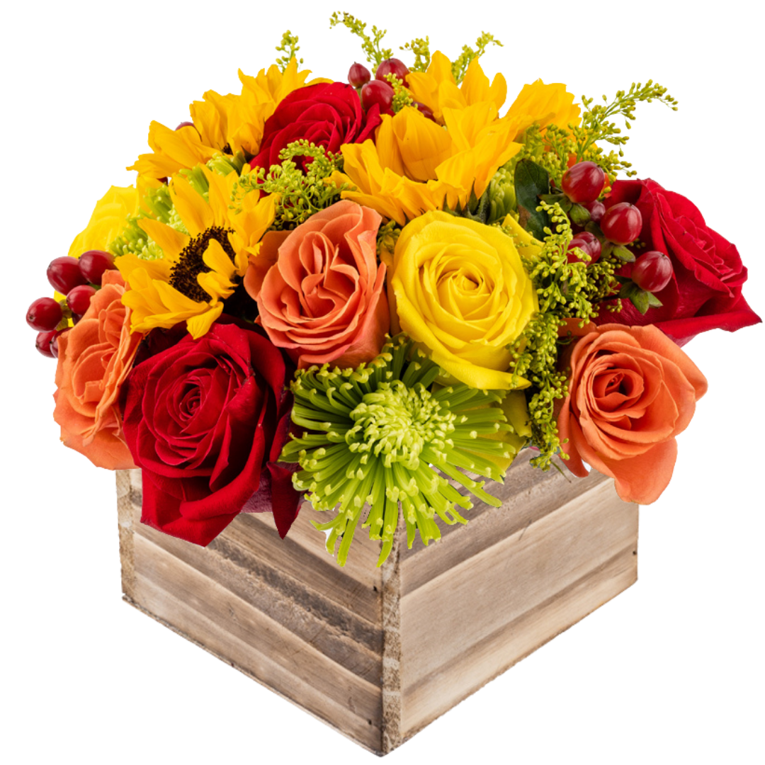 Fresh Flowers | Flowers for Delivery | Online Florist Arabella